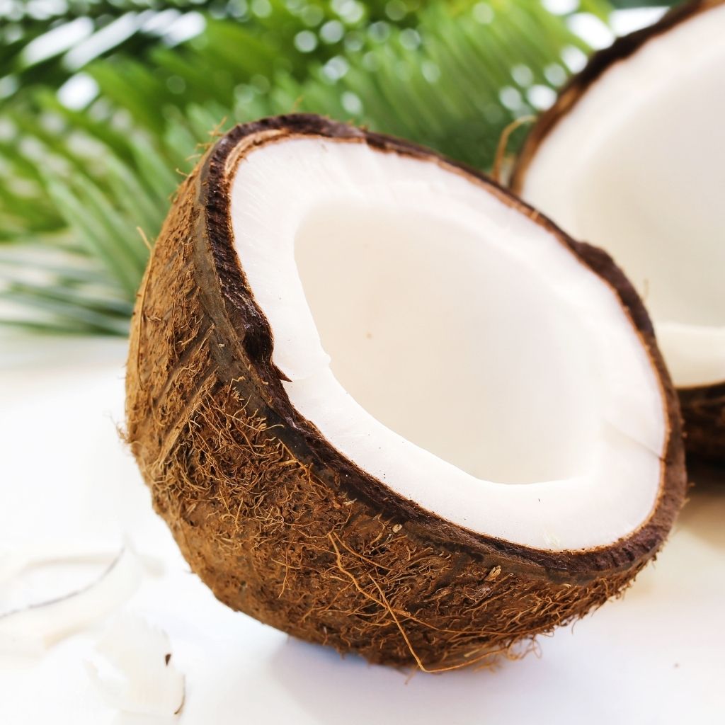 Why Coconut Wax Candles? – Olive+Ollie Goods